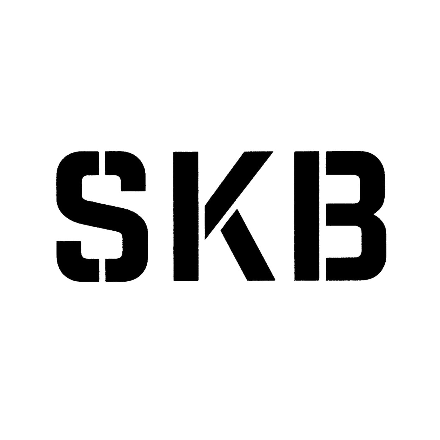 Official skateshop since 2006 – officialskateshop